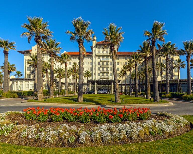 Training | Texas District & County Attorneys Association